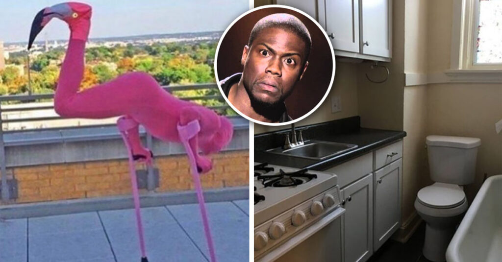 15 fotos que te dejan con más preguntas que respuestas