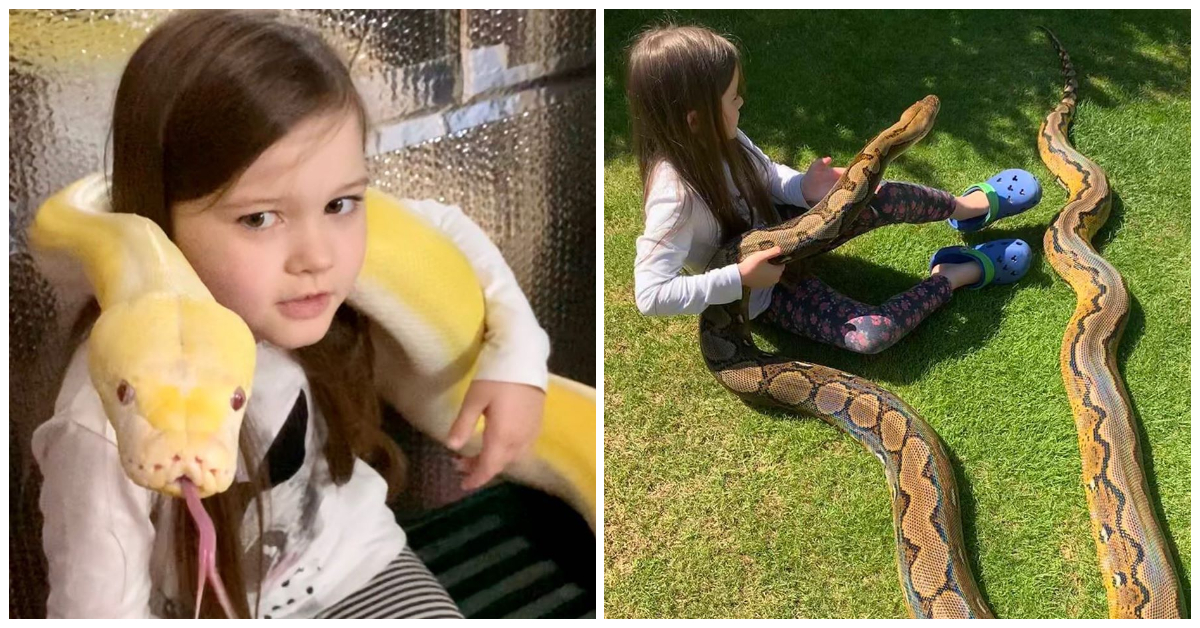 Ed Taoka y su hija de siete años tienen dos serpientes como mascotas