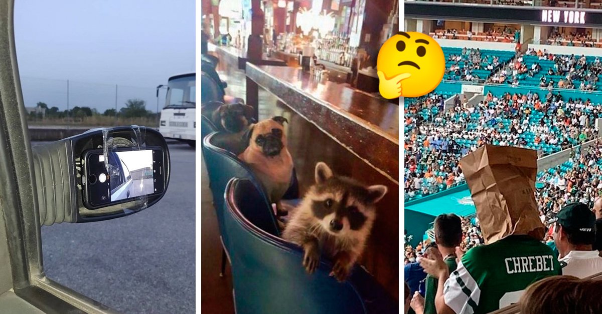 20 cosas muy raras que no ves todos los días