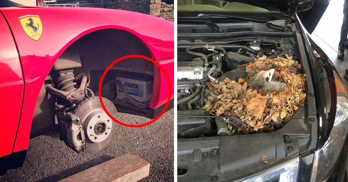 20 cosas ridículas que los mecánicos han visto