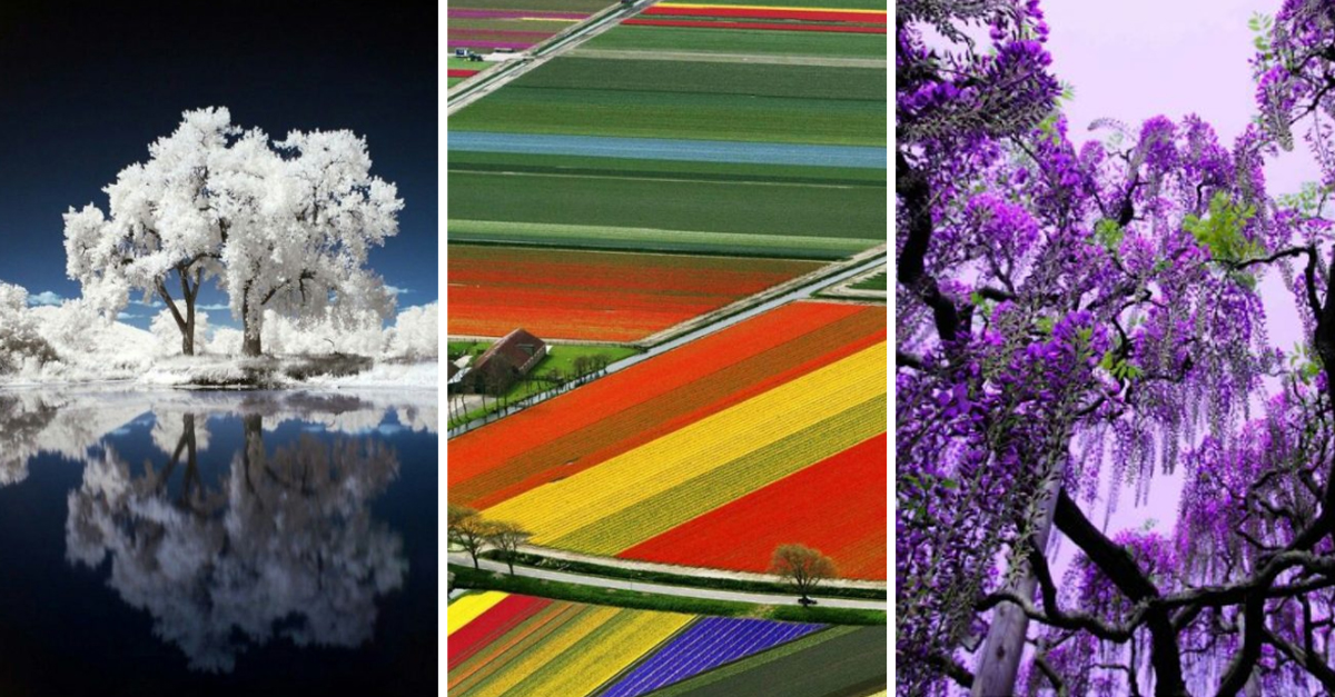 15 fotos que demuestran que la naturaleza es increíble