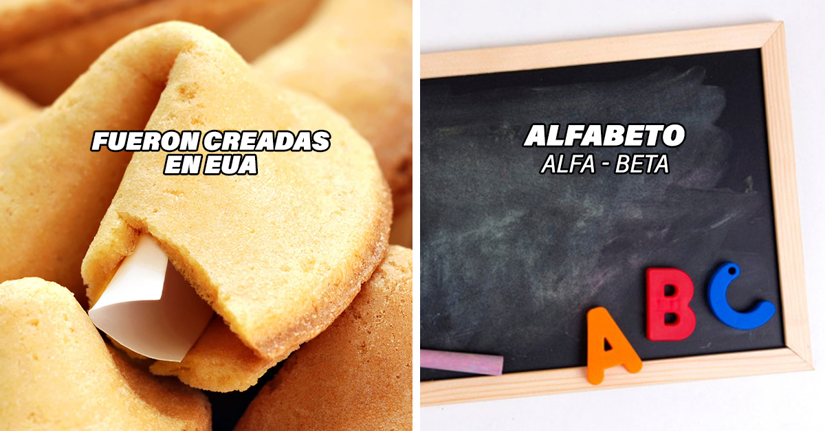 11 hechos divertidos al azar que seguramente no sabías